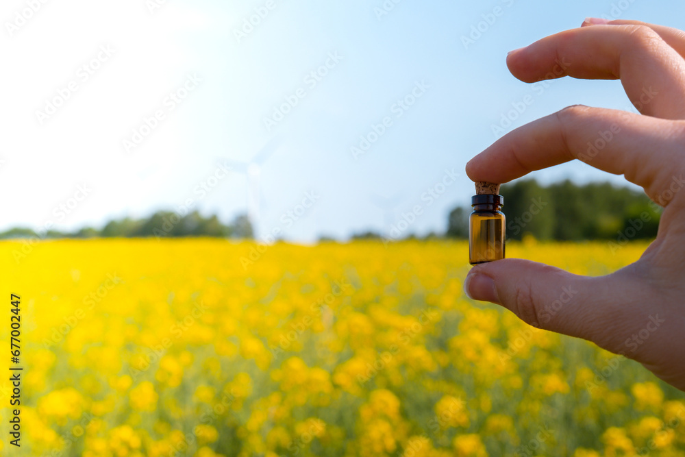 Hand holding test tube with liquid on background of canola flowers ...