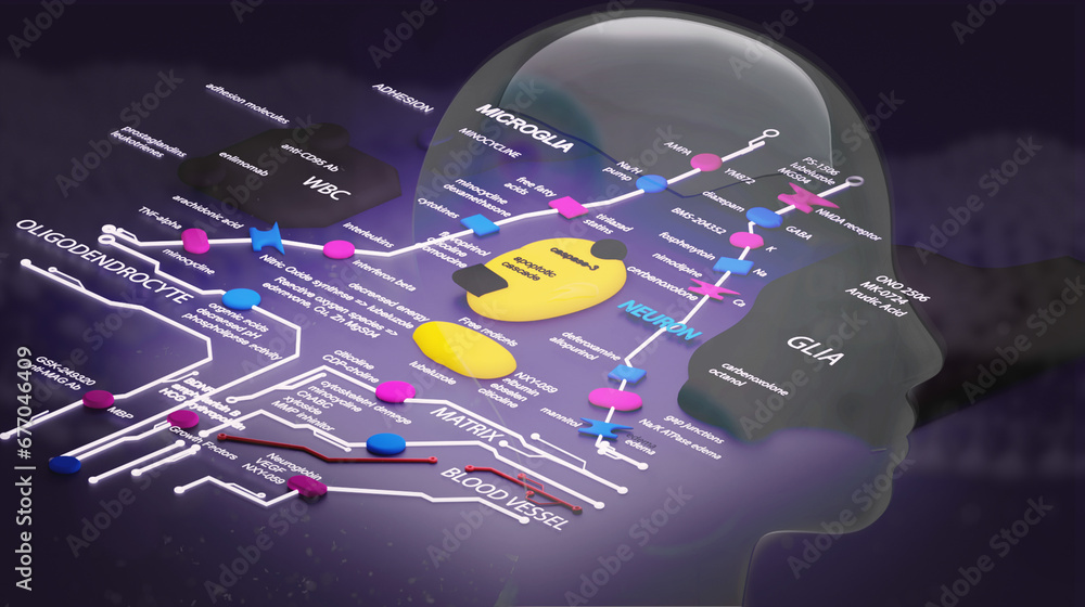Dramatic visual of Brain Circuits mapped onto a 2D surface with labels ...