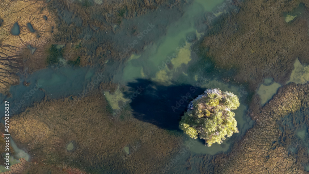 Aerial views of the pond. Algae, algae, infestation of dark green weeds ...