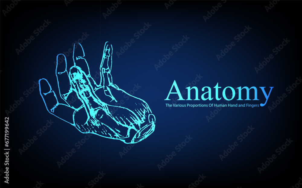 Human anatomy in front on x ray view. Anatomy human body connection ...