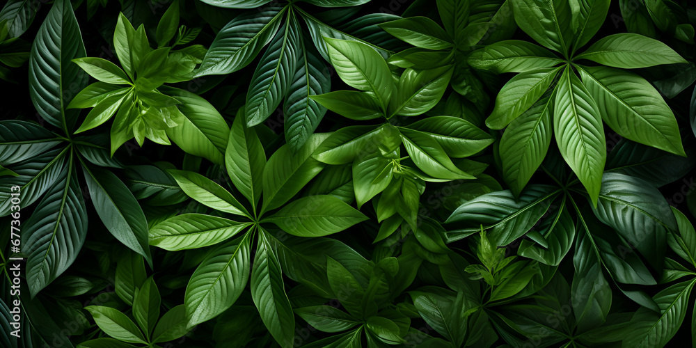 Tropical leaves texture,Abstract nature leaf green texture background ...