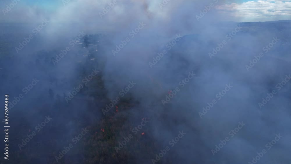 Wildfire aerial view. Fire and smoke. Burning forest. Natural disaster ...