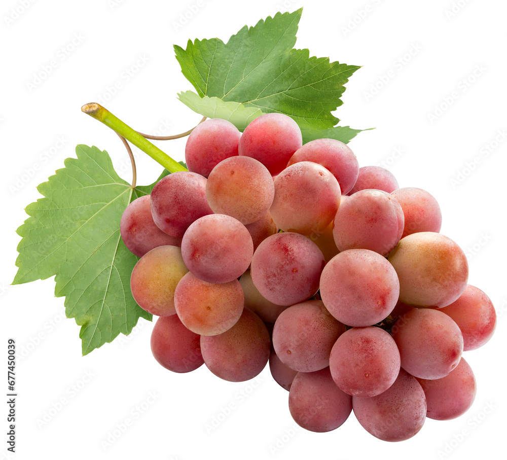 Sweet Red Queen Nina Grape isolated on white, Japanese Grape isolated ...