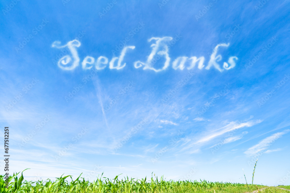 Seed Banks: Facilities that store and preserve plant seeds for future ...