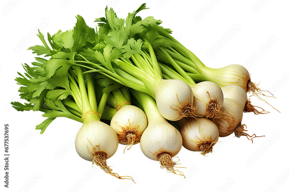 Washed fresh young bulb onions with roots and part of the stems, twigs ...
