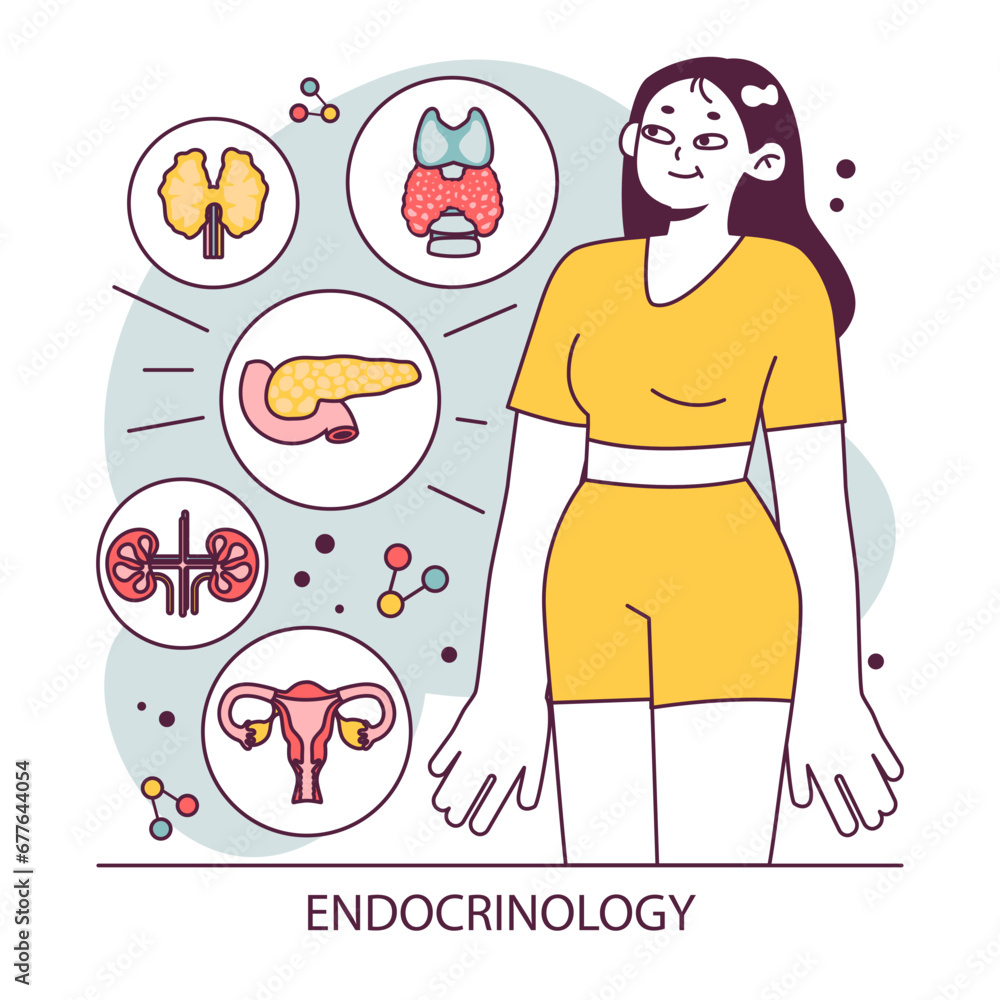 Endocrinology. Endocrine system organs, pancreas thyroid gland ...