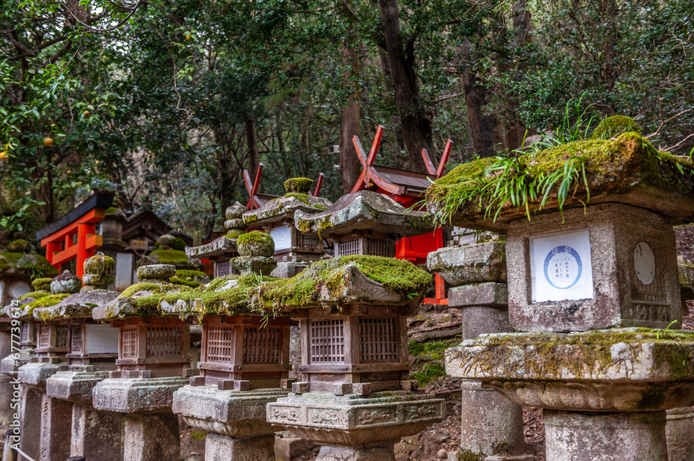 Nara, Japan - January 5, 2020. Exterior shot of Nara Park. Nara is a ...