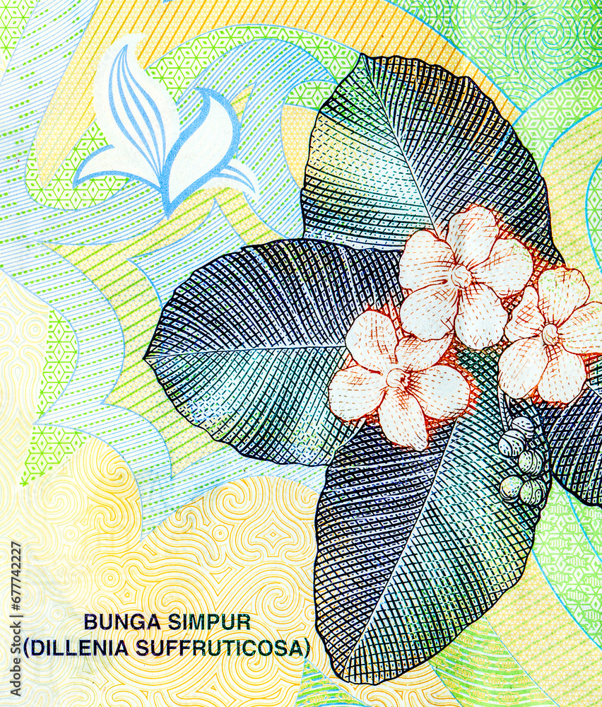 National Flower of Brunei - Simpor Bini (Dillenia suffruticosa) on ...