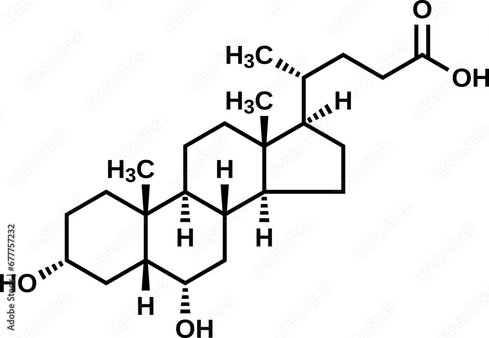Hyodeoxycholic acid structural formula, vector illustration Stock ...