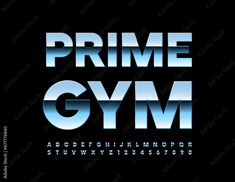 Vector modern logo Prime Gym. Trendy metallic Font. Silver set of ...