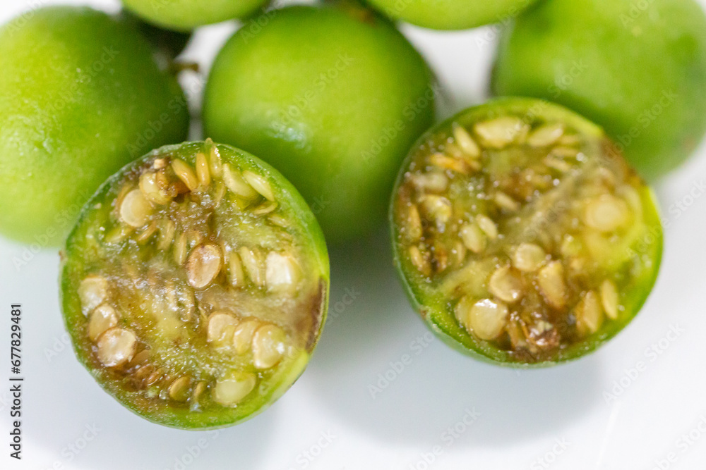 Macro photo of "Solanum torvum", also known as jurubeba, pendejera ...