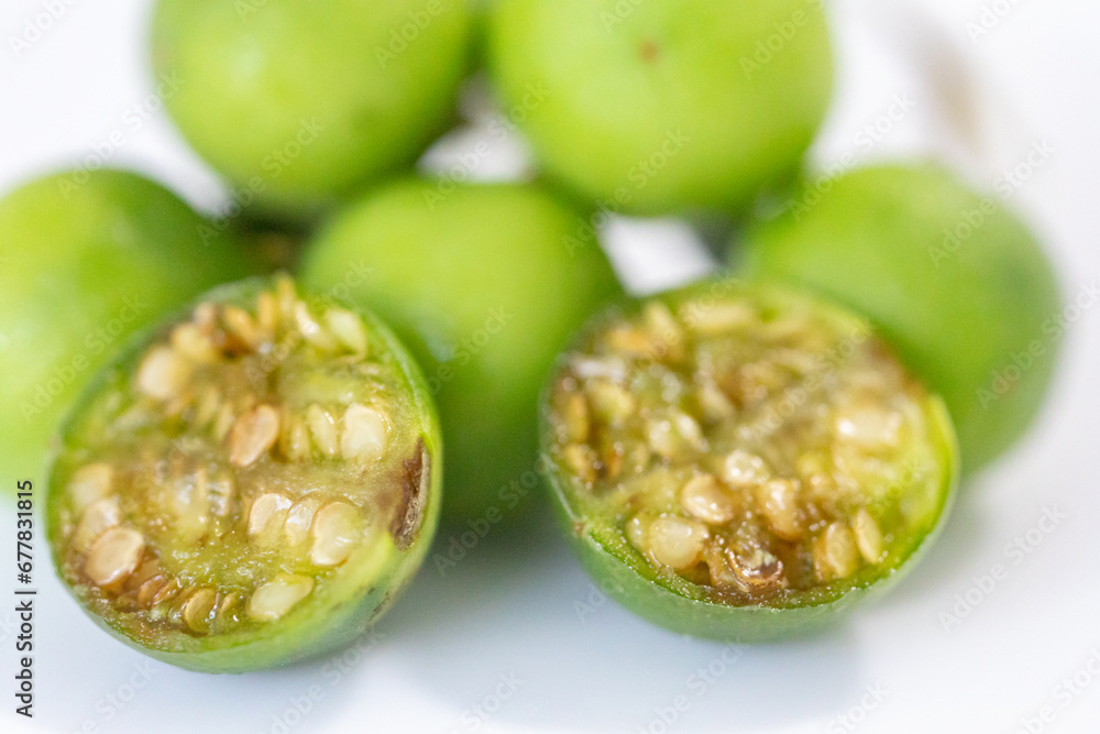 Macro photo of "Solanum torvum", also known as jurubeba, pendejera ...