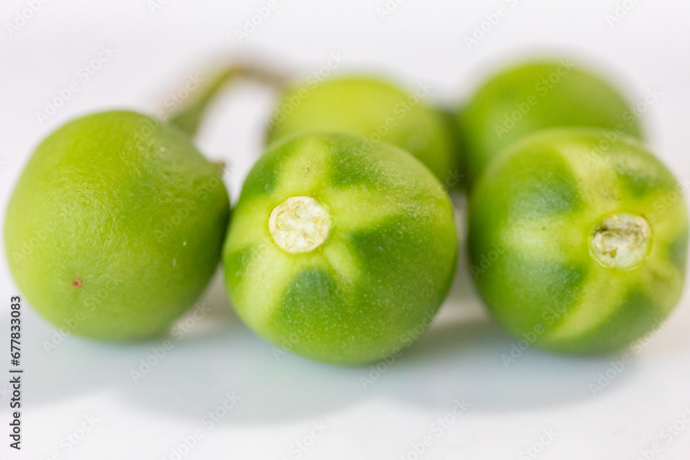 Macro photo of "Solanum torvum", also known as jurubeba, pendejera ...