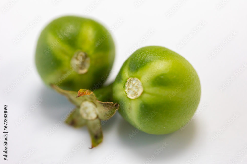 Macro photo of "Solanum torvum", also known as jurubeba, pendejera ...