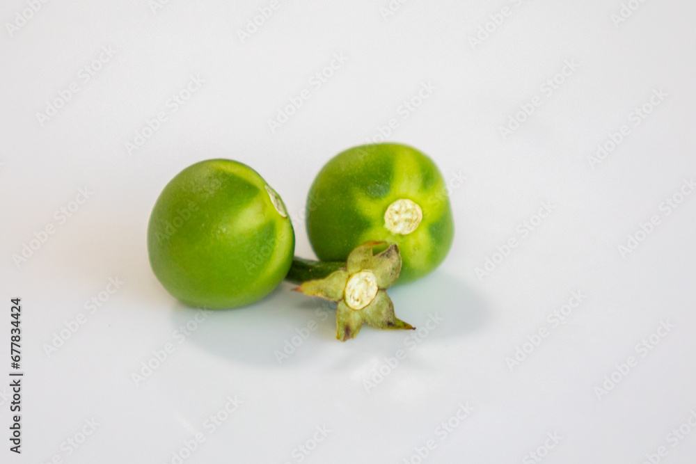 Macro photo of "Solanum torvum", also known as jurubeba, pendejera ...