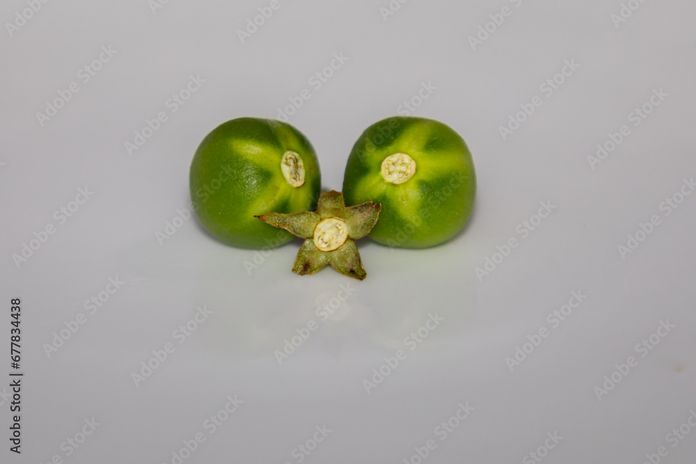 Macro photo of "Solanum torvum", also known as jurubeba, pendejera ...