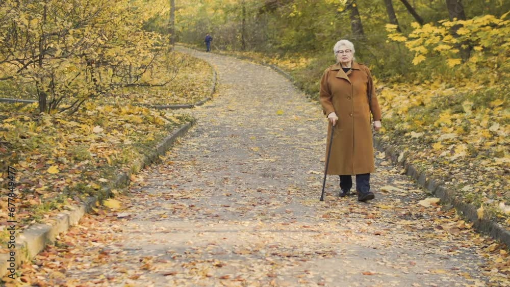 Elegant woman with gray hair and in long warm coat slowly walking park ...