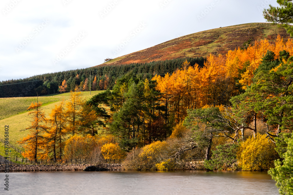 Expansive views of a valley in Scottish highlands in colourful autumn ...