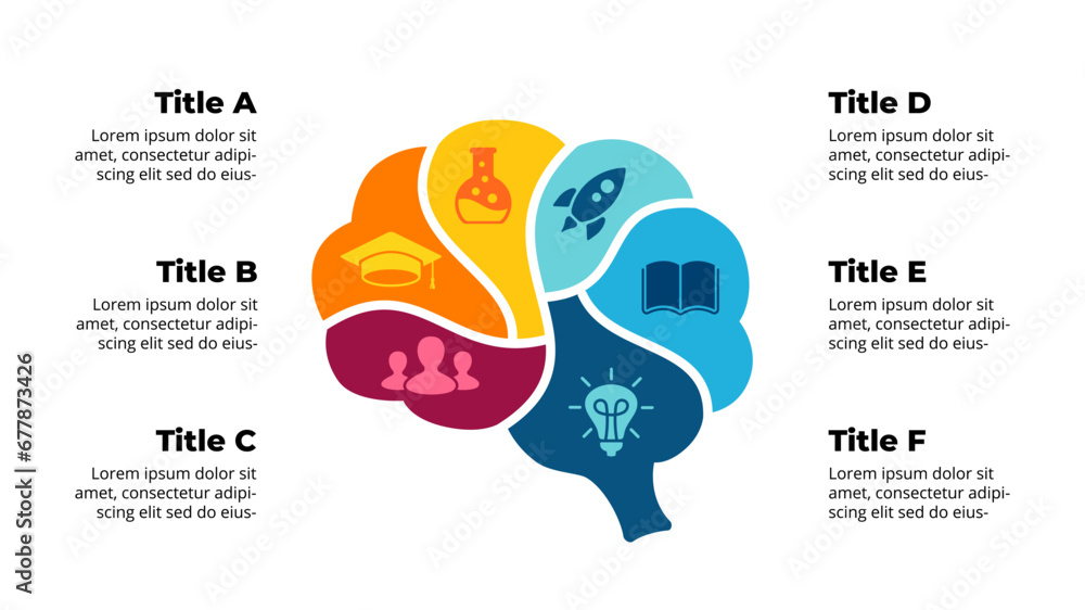 Human Brain Infographic Vector Educational Concept Presentation