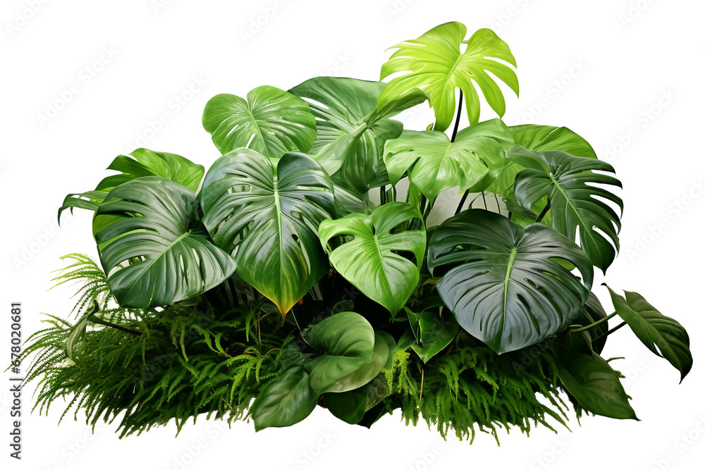 Lush Rainforest Plant with Imitated Leafs, Capturing the Essence of ...