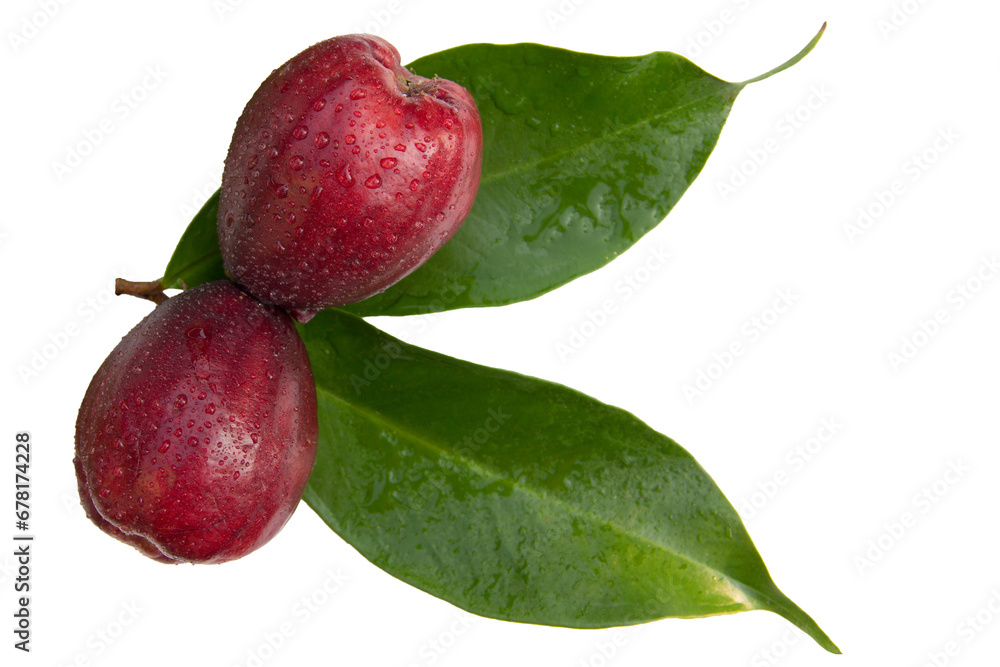 Pomerac fruits (Syzygium malaccense) has other names are Malay Apple ...