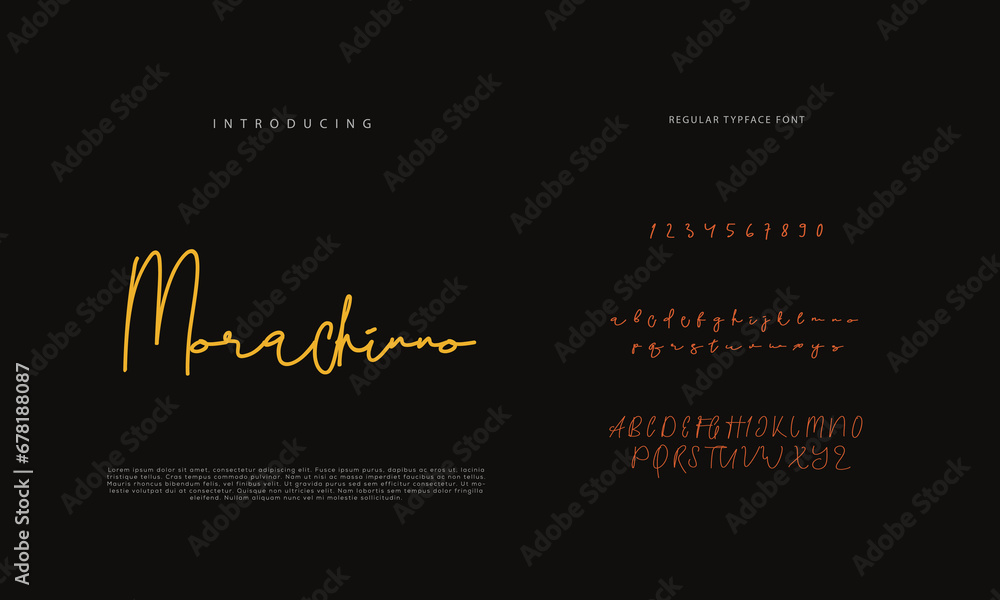 Handwritten Script font. Hand drawn brush style modern calligraphy ...