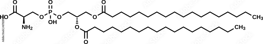 Phosphatidylserine structural formula, vector illustration Stock Vector ...