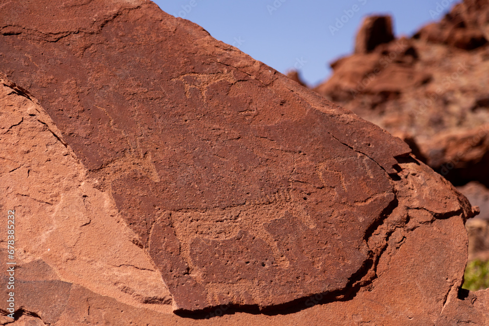 Series of petroglyphs depicting a zebra and different African antelopes ...
