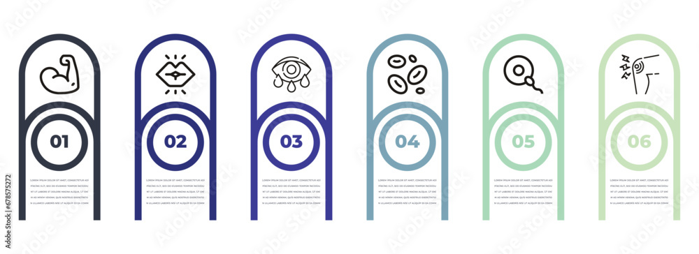 muscle fiber, thin lips, sweat or tear drop, big cellule, two ...