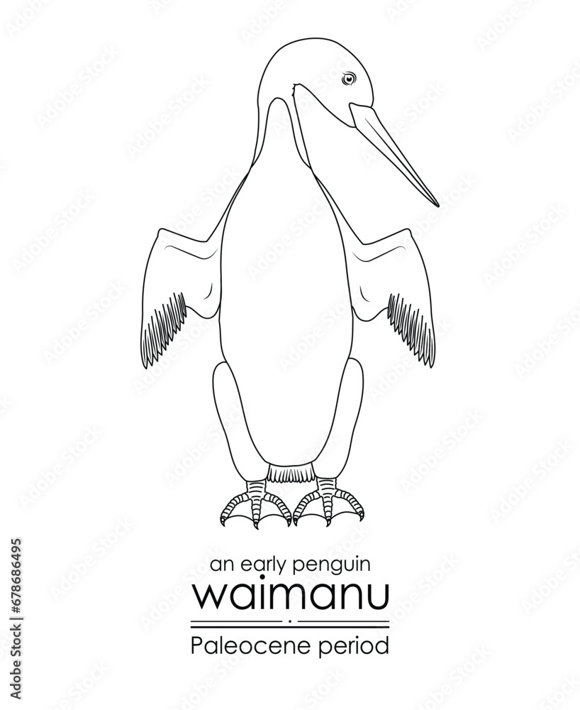 Vetor de Waimanu, an early penguin from the Paleocene period. Paleocene ...