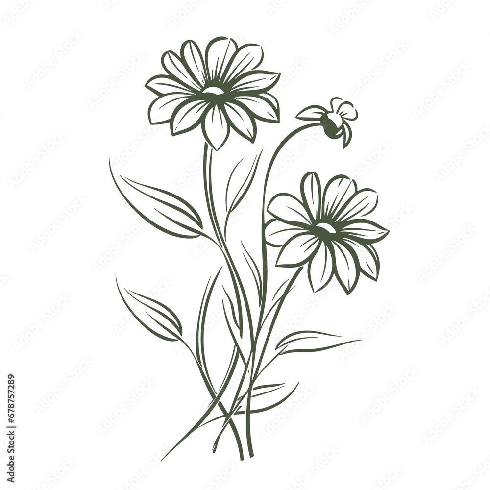 line drawing, line art png, line art prints, spring clipart, line art ...
