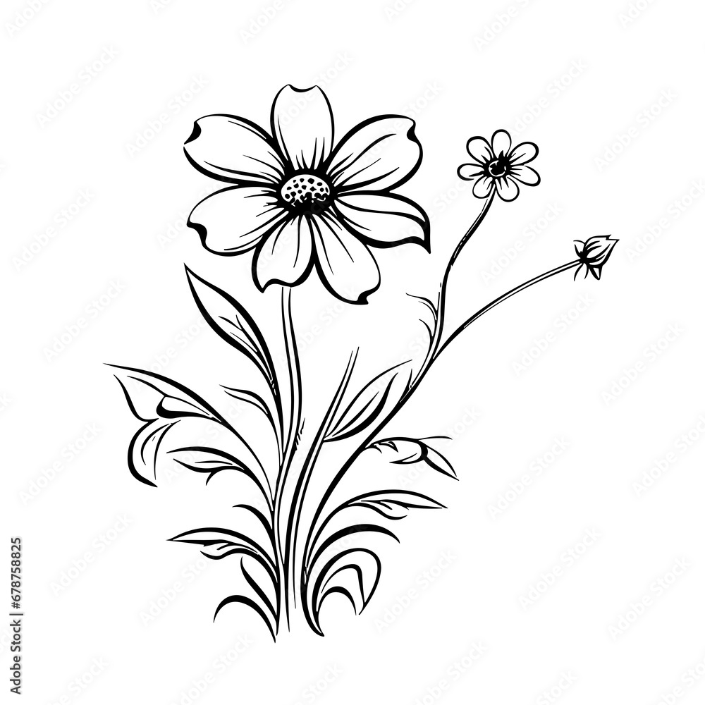 line drawing, line art png, line art prints, spring clipart, line art ...
