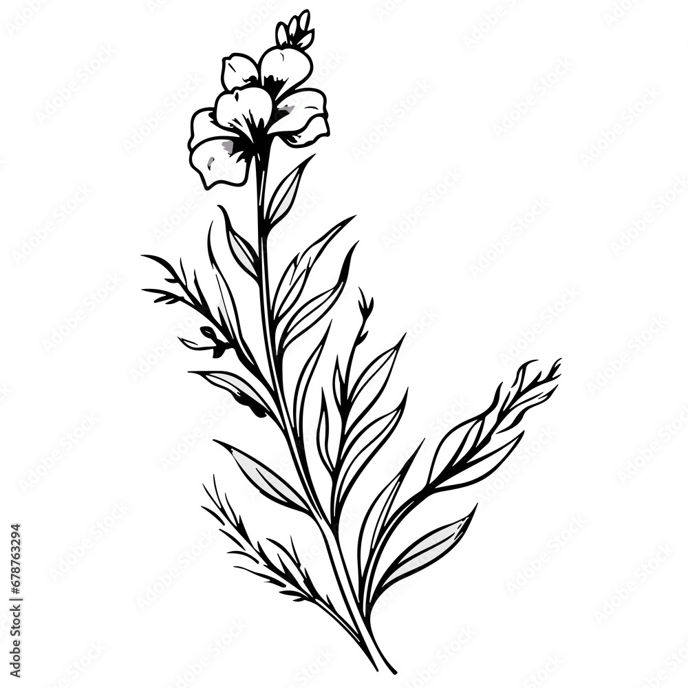 line drawing, line art png, line art prints, spring clipart, line art ...