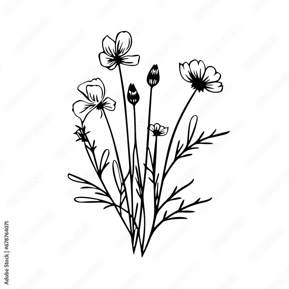 line drawing, line art png, line art prints, spring clipart, line art ...