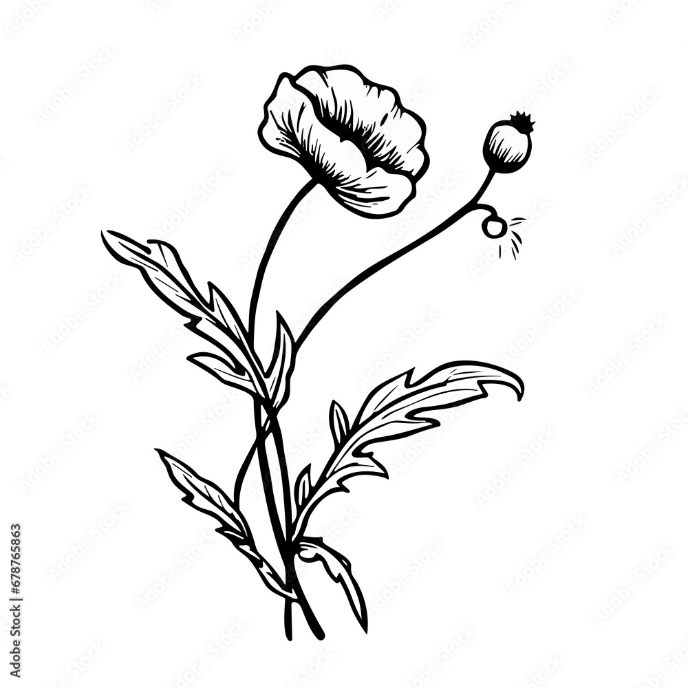 line drawing, line art png, line art prints, spring clipart, line art ...