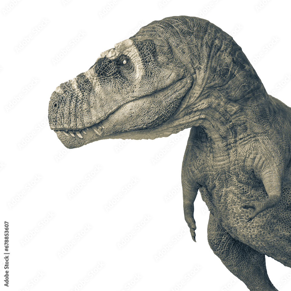 tyrannosaurus rex in id profile picture on close up side view Stock ...
