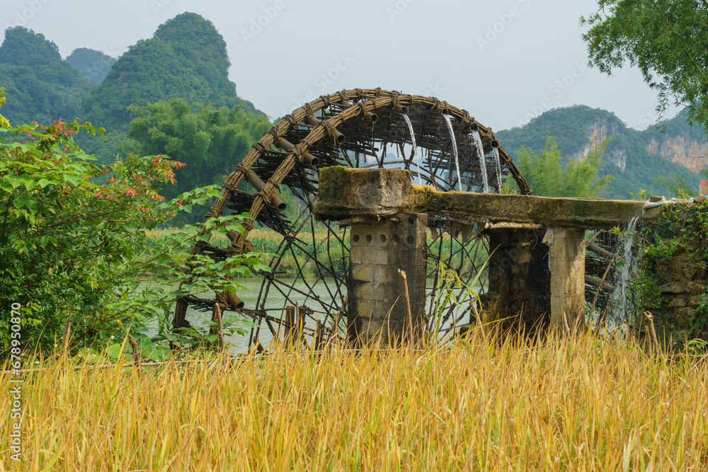 Rice field and wooden watermill. Antique waterwheel for watering system ...
