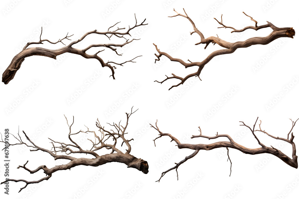 Dry branch of dead tree with cracked dark bark.beautiful dry branch of ...