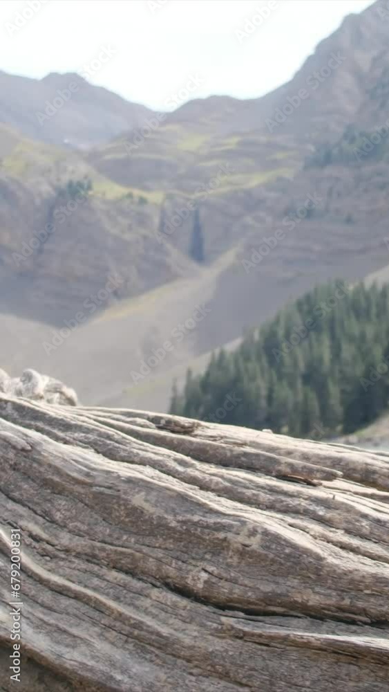 Vídeo do Stock: A child balances on a fallen tree by a mountain lake in ...