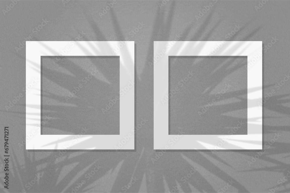 Natural light casts shadows from the leaves of a palm tree on 2 square ...