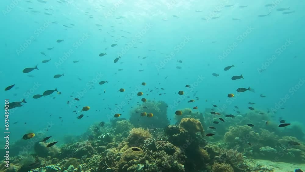 Stunning underwater view with beautiful sunlight over coral reef ...