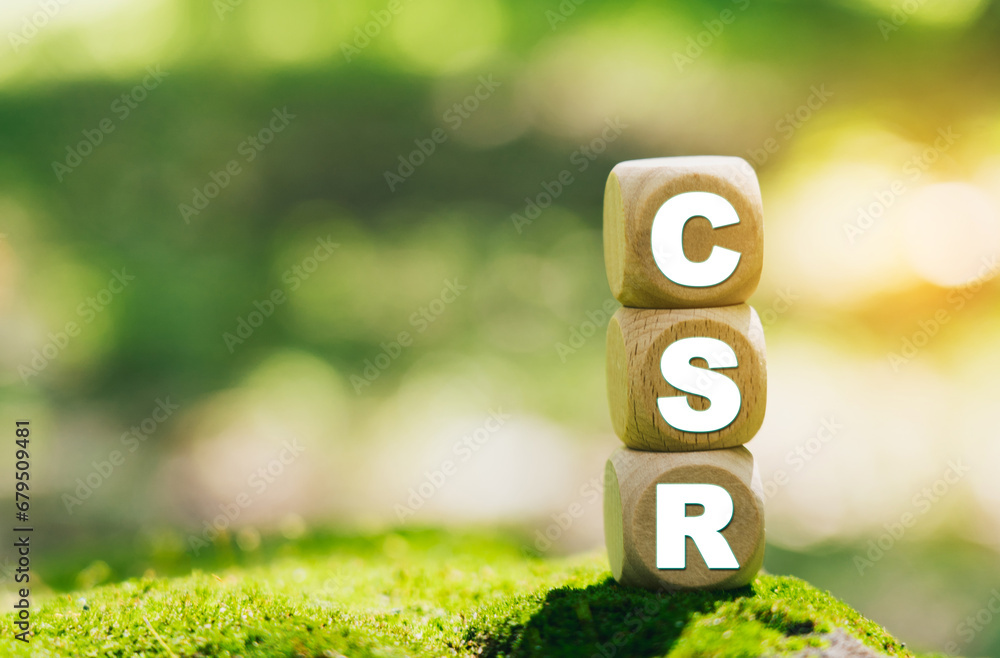 Corporate social responsibility (CSR) and giving back to the community ...