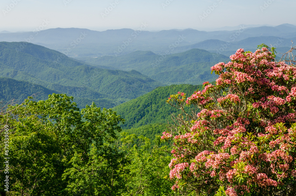 Blue Ridge Parkway, Famous Road linking Shenandoah National Park to ...