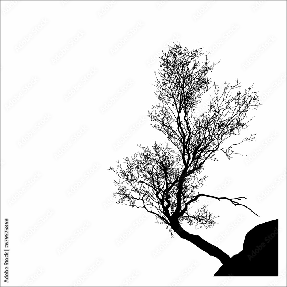 tree silhouette isolated on white trees line drawing, Side view, set of ...