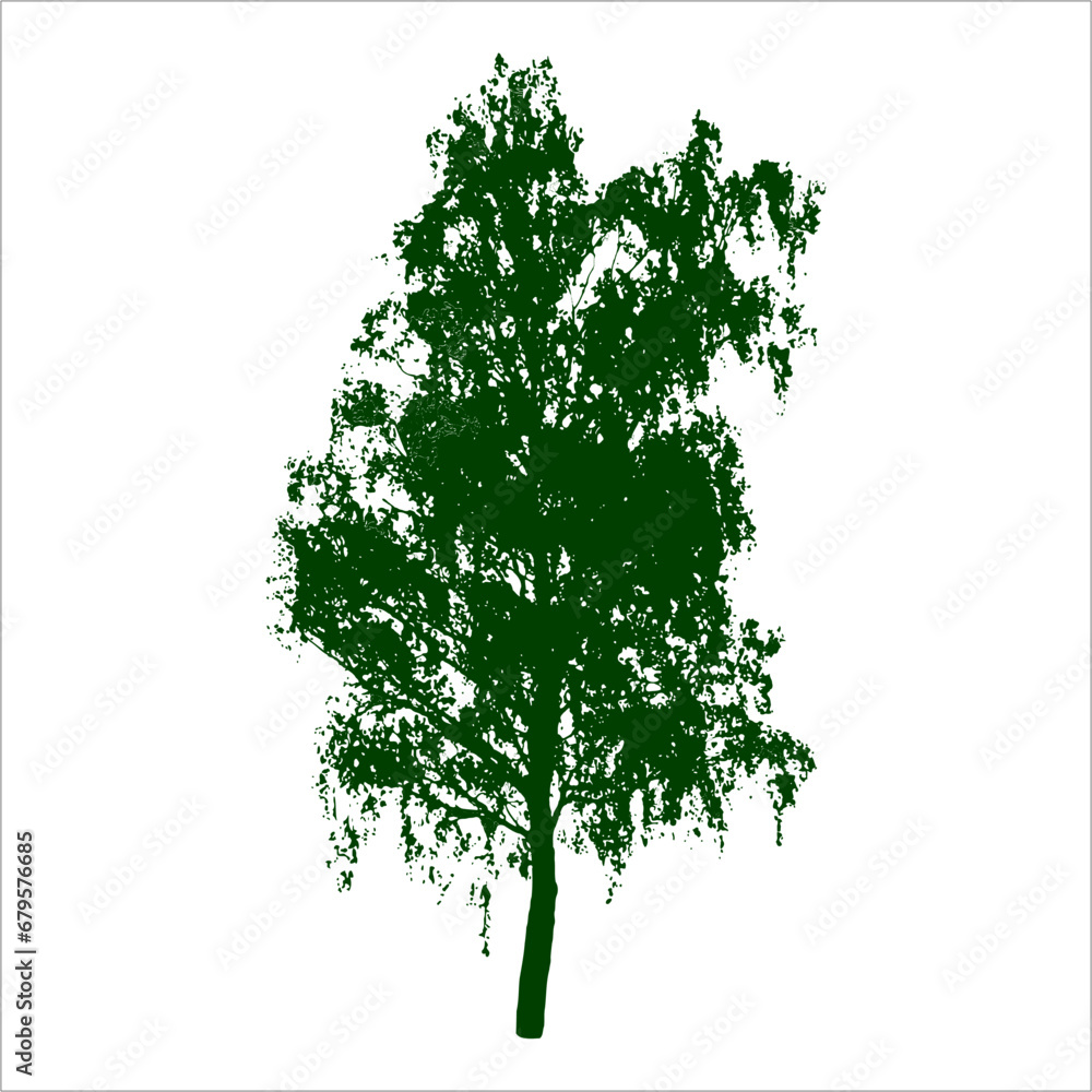 green tree isolated on white trees line drawing, Side view, set of ...
