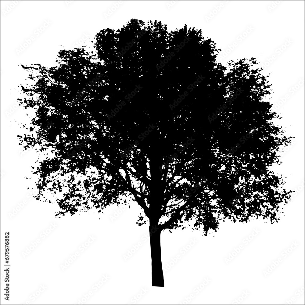 silhouette of tree silluette tree. trees line drawing, Side view, set ...
