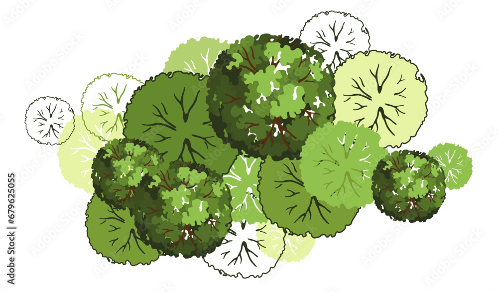 Group of trees for architectural floor plans. Entourage design. Various ...