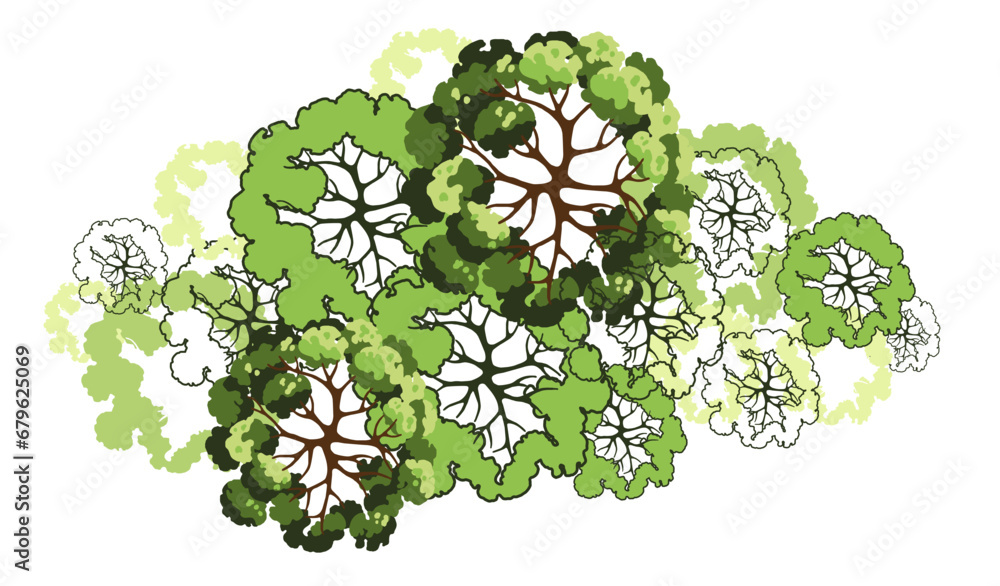 Group of trees for architectural floor plans. Entourage design. Various ...