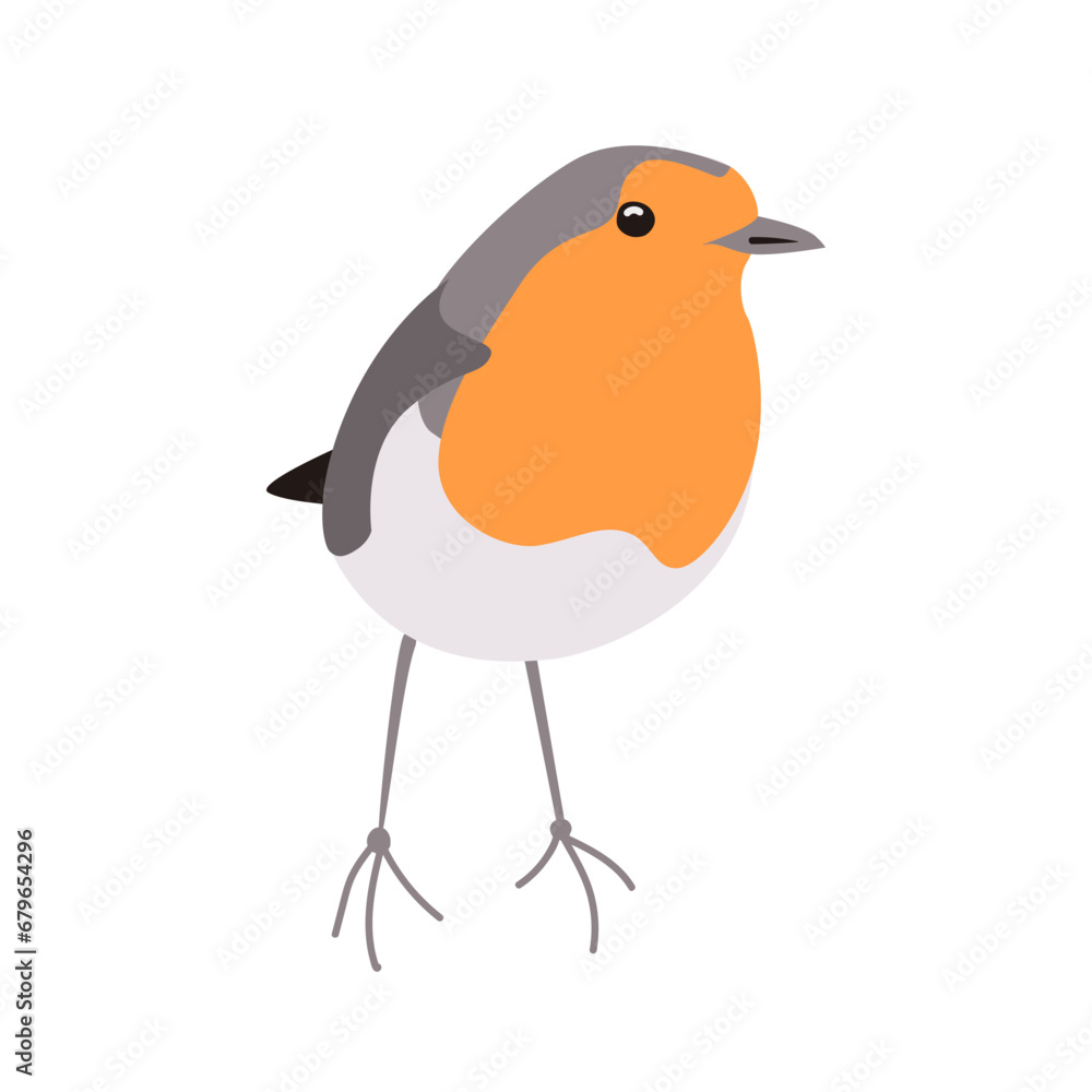 Poster Cute robin bird. Cartoon isolated vector illustration – Wall Art ...
