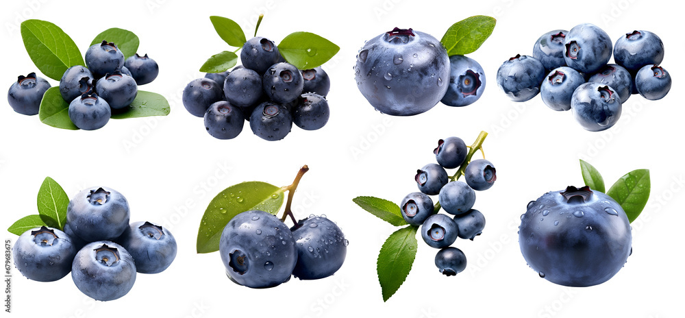 Blueberry Blueberries Bilberry Bilberries, many angles and view side ...